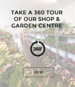 Contact Us - Homeland Florists