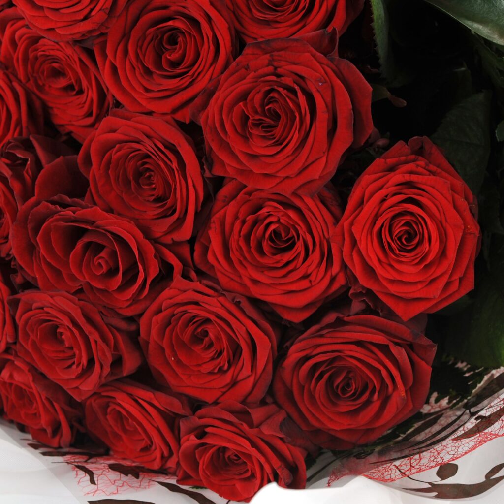 Buy 50 Shades of Red Roses Bouquet | Homeland Florists