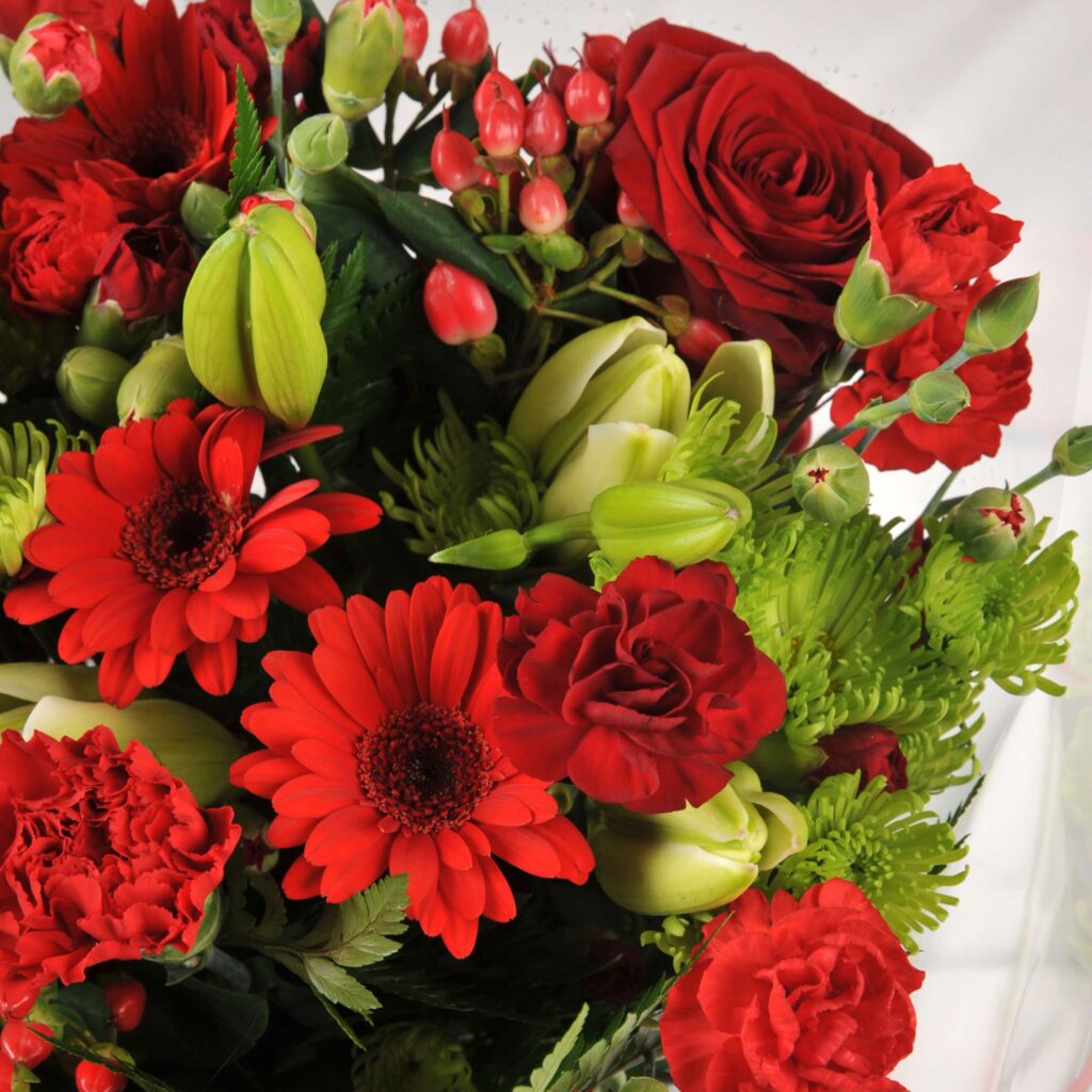 All Red Flower Bouquet | Homeland Florists