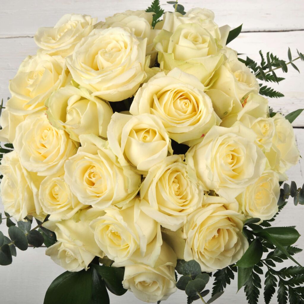 Buy 12 Pink Roses | Fresh Pink Roses from Homeland Florists