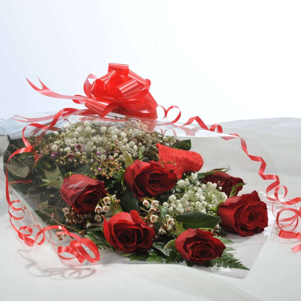 Buy 50 Shades of Red Roses Bouquet | Homeland Florists