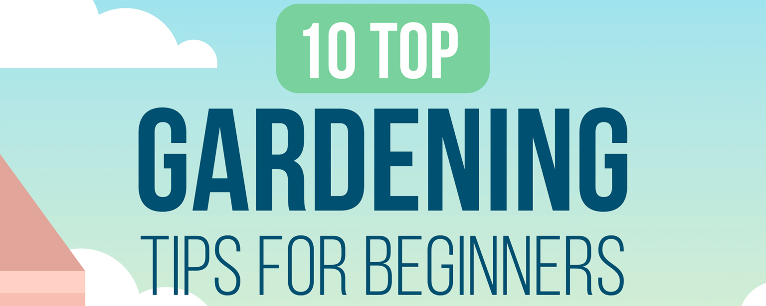 10 Top Gardening Tips Infographic