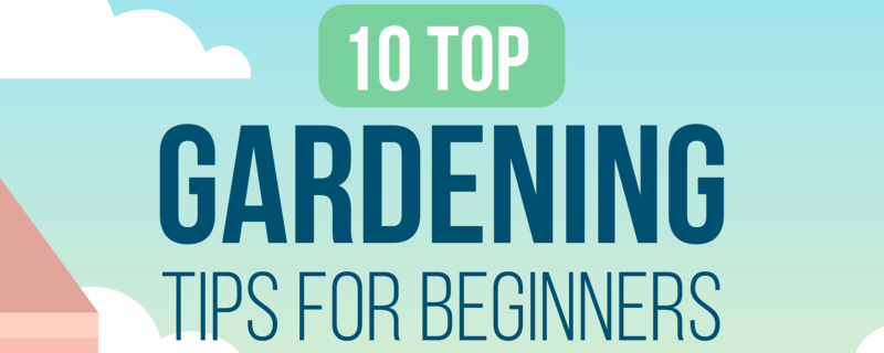 10 Top Gardening Tips Infographic